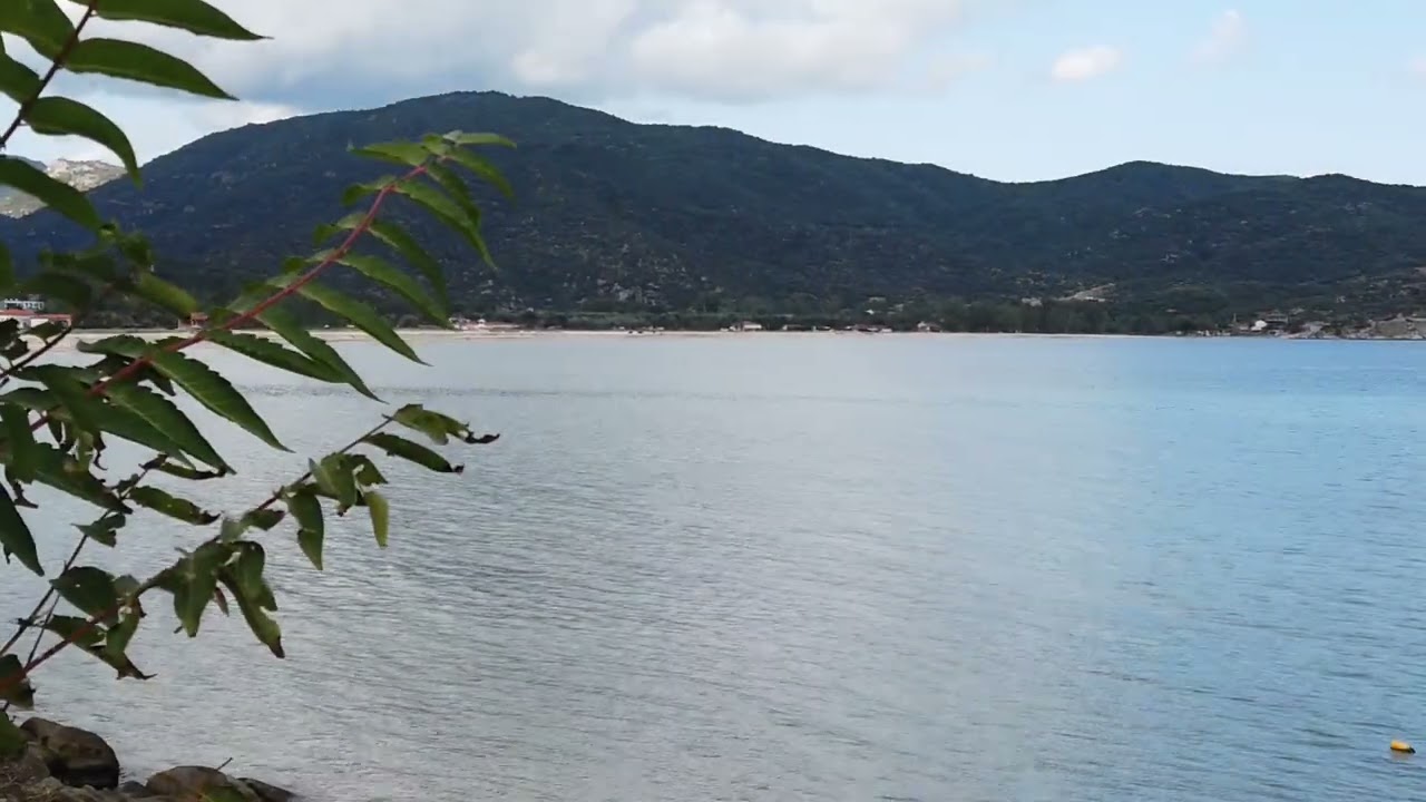 Μικρό καλοκαιράκι Συκιά Χαλκιδικης - YouTube