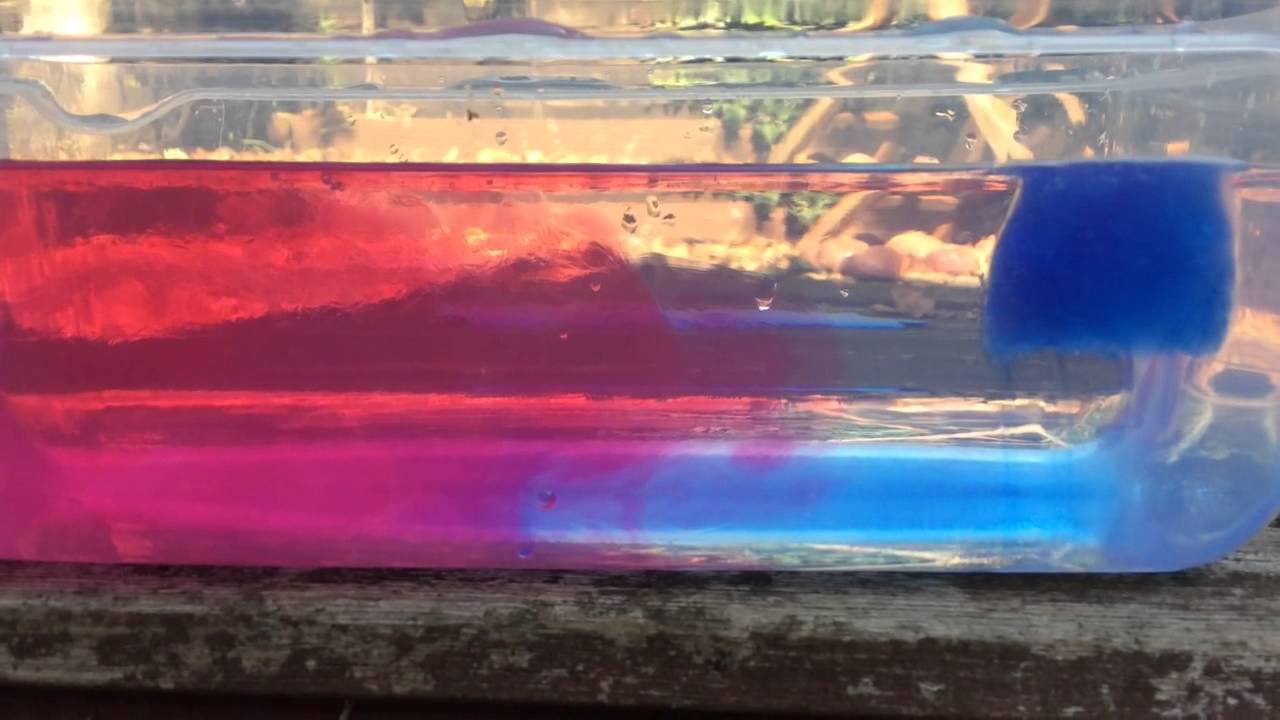 blue ice cube and red colouring experiment;convection - YouTube