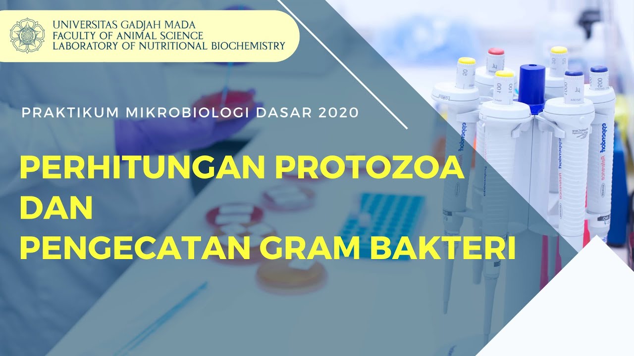 PRAKTIKUM MIKROBIOLOGI DASAR: PERHITUNGAN PROTOZA DAN PENGECATAN GRAM ...