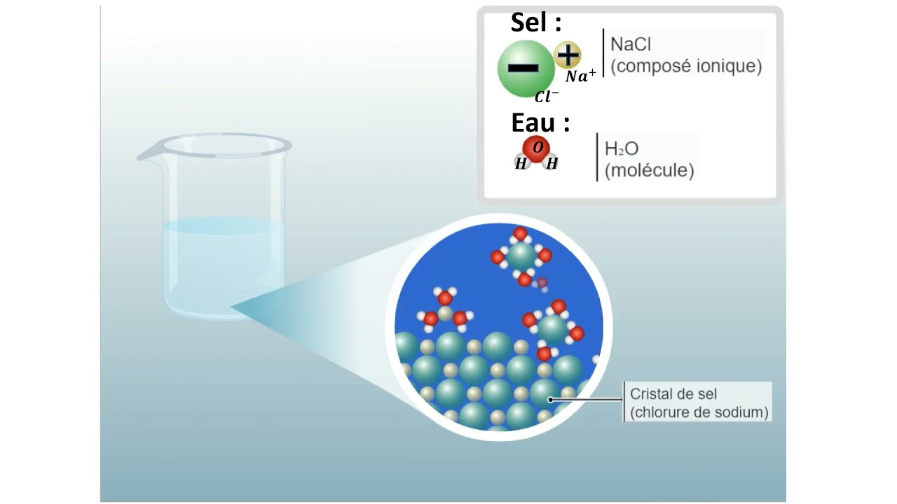 Dissolution du sel dans l'eau - YouTube