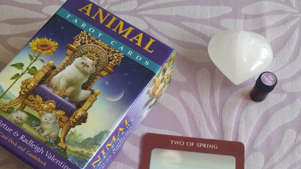 Animal Tarot Cards | Doreen Virtue e Radleigh Valentine | Review - YouTube