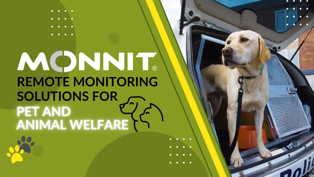 Monitoring Solutions: Kennels, K9, Veterinary Clinics, Animal Care ...