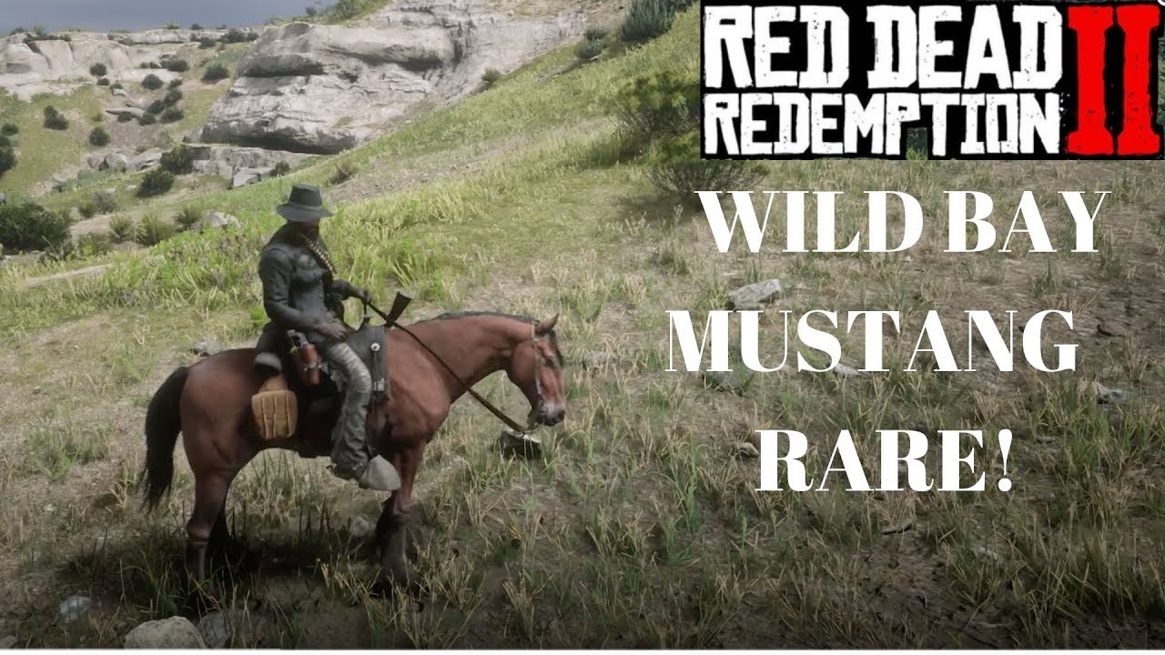 RED DEAD REDEMPTION 2 MUSTANGE HORSE, LOCATION - YouTube