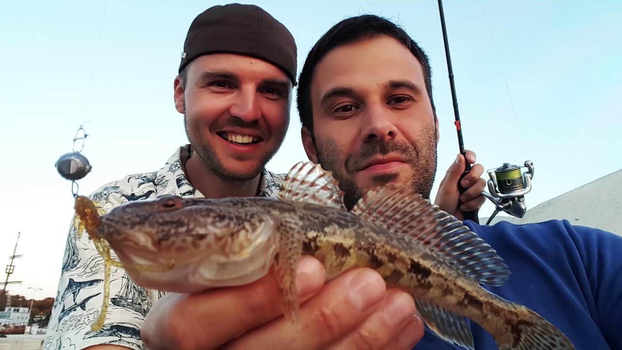 Light Rock Fishing for goby with soft lure LRF - YouTube