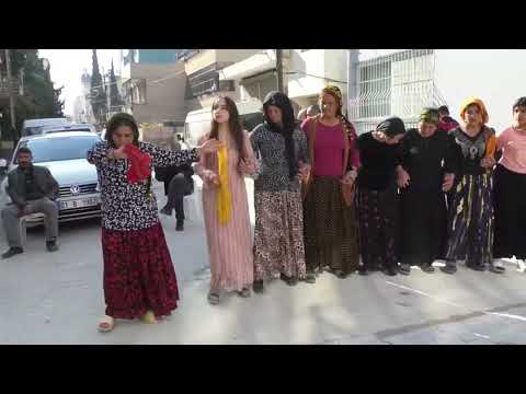 adanalı ramazan aganın oglu ferhat 5
