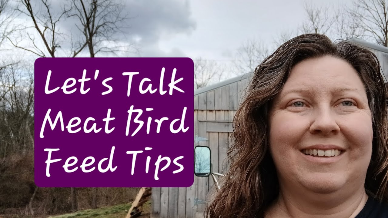 Let's Talk Feed Tips & Prep For Raising Meat Chickens (Getting Ready For Meat Birds 2025 No. 2 ...