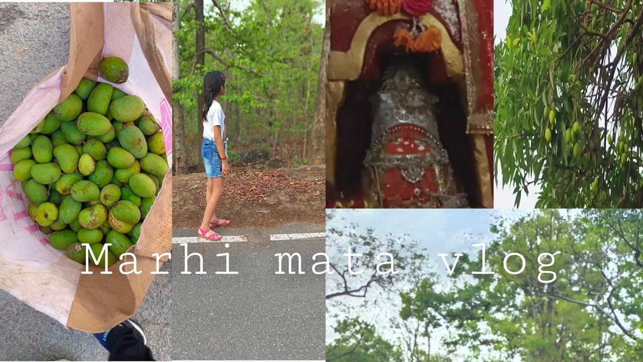 Marhi mata vlog // collecting raw mango // learn with shubhda - YouTube
