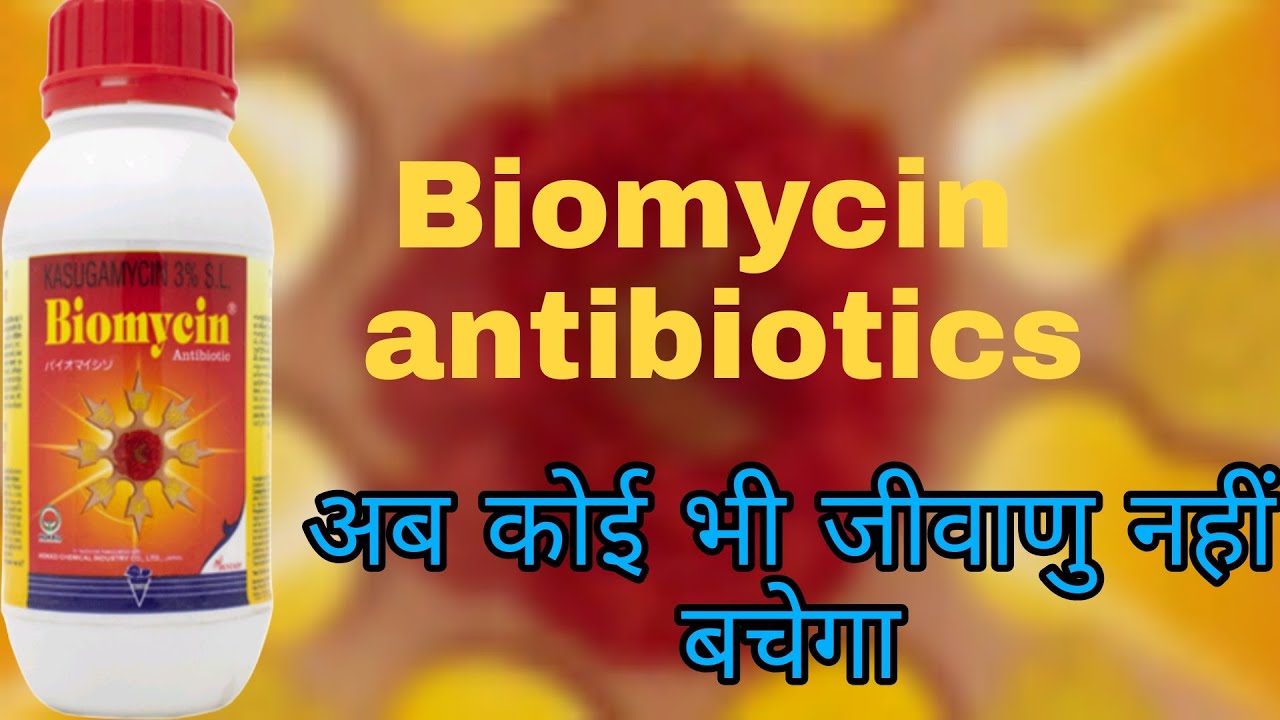 #biomycin fungicide//#biostead biomycin//#जीवाणु नाशक//#kasugamycin 3sl ...