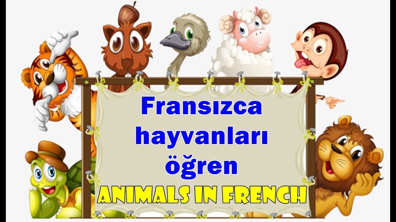 Fransızca Hayvanları Öğren - Animals in French (Animaux) - YouTube