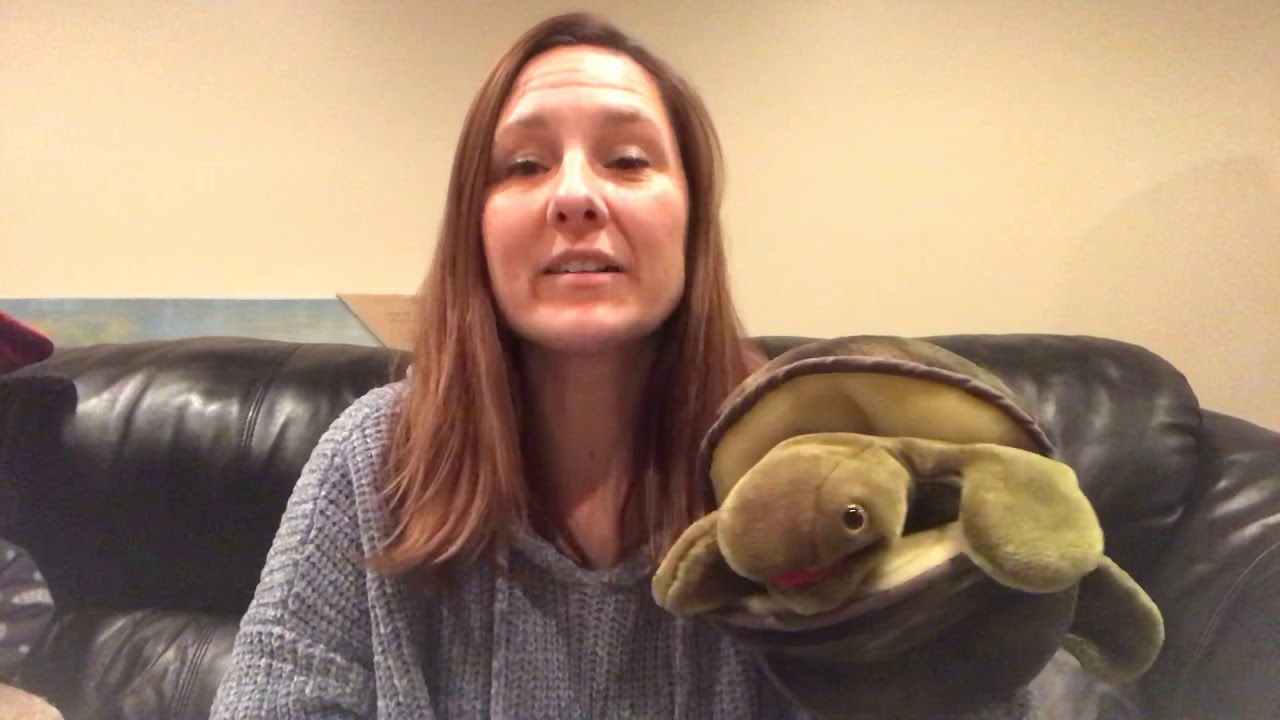 How Turtle Cracked His Shell - YouTube