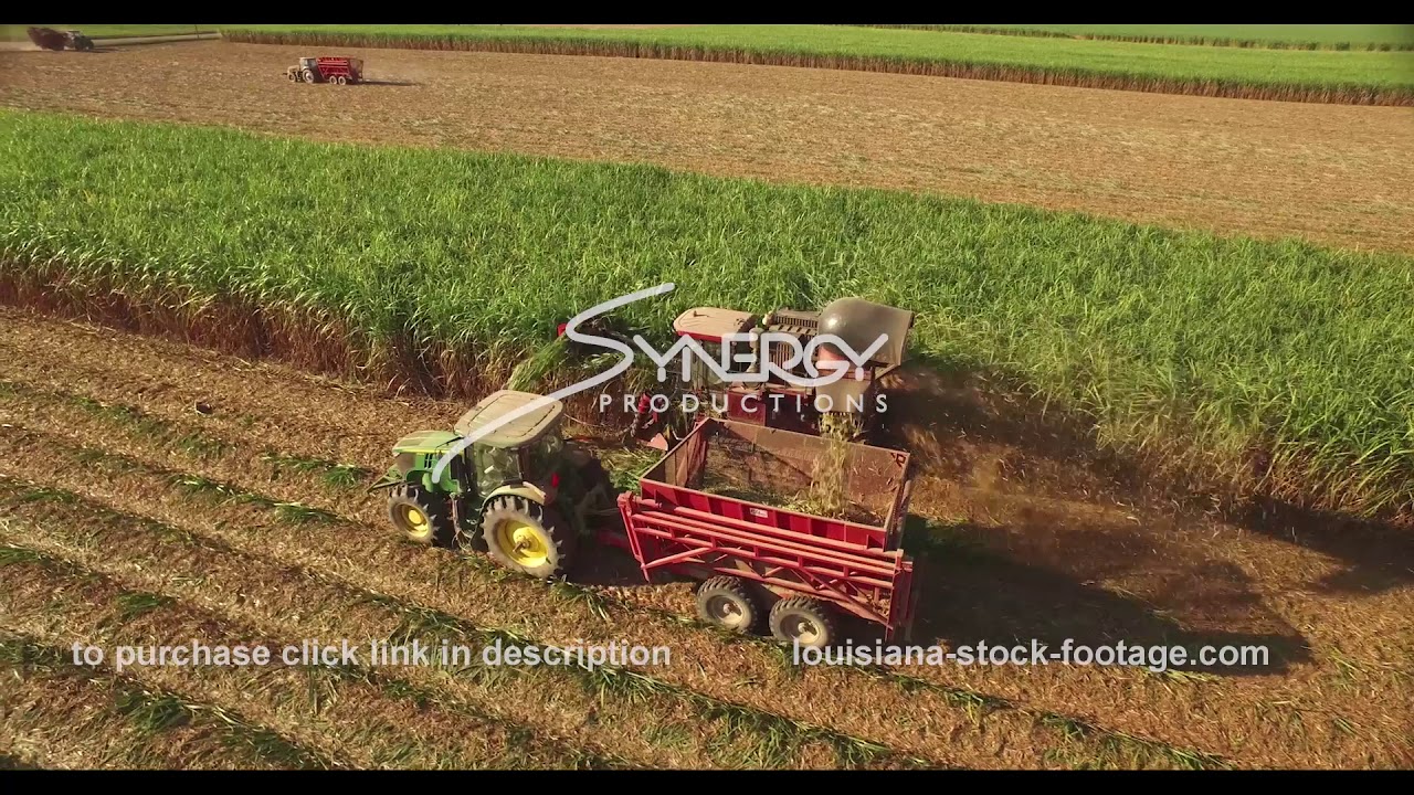 850 aerial drone view of sugar cane harvesting video stock footage ...
