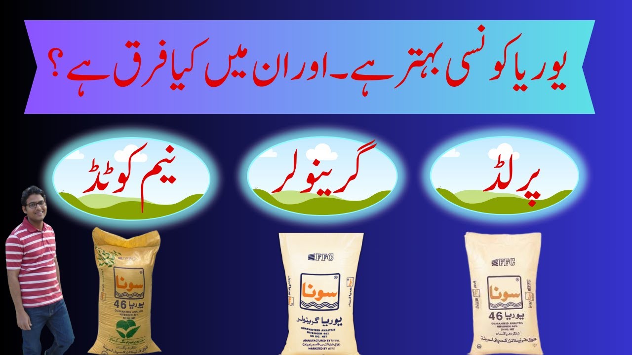 Prilled vs. Granular vs. Neem Coated Urea: Choosing the Best for Your ...