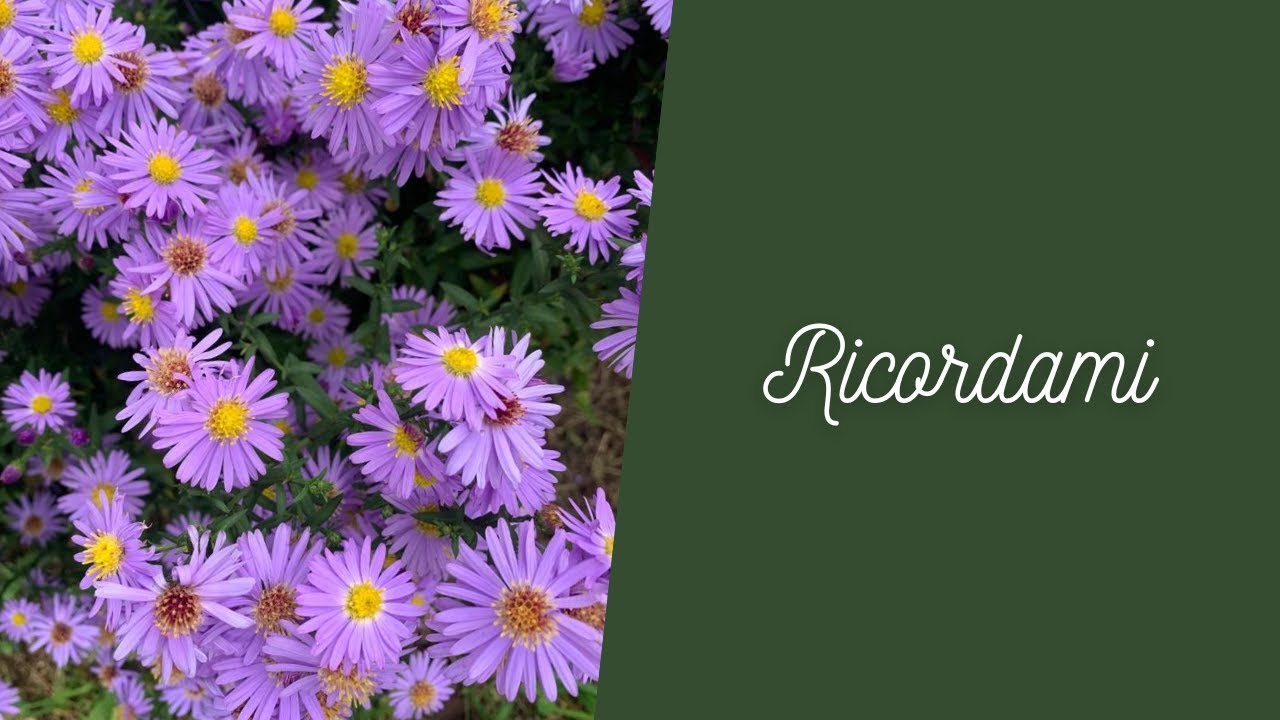 Ricordami - YouTube