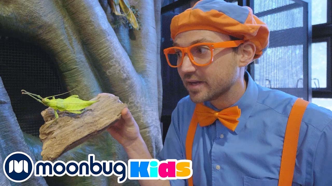 Blippi at the Zoo - Feeding the Animals | Blippi | Cartoons for Kids ...