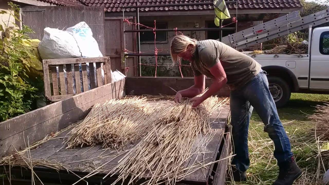 Thatching, Traditional Dorset Ridging techniques. - YouTube