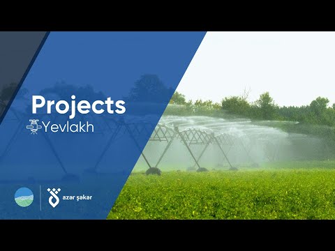 Gilan Pivot | Portfolio | Yevlakh