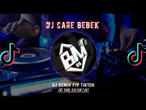 DJ CARE BEBEK || DJ VIRAL FYP TIKTOK TERBARU - YouTube