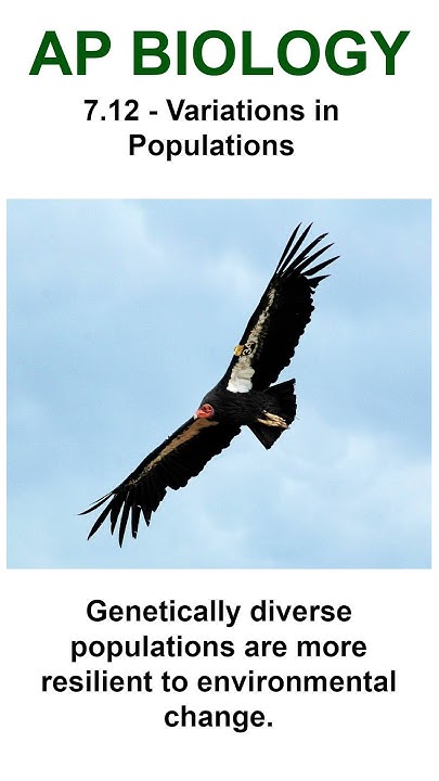 AP Bio - 7.12 Variation in Populations #apbiology #natural selection # ...