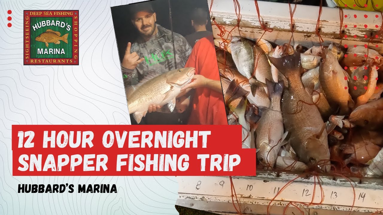 12 Hour Overnight Snapper Trip | HUGE Mangrove Snapper | 4-19-24 | Hubbards Marina - YouTube