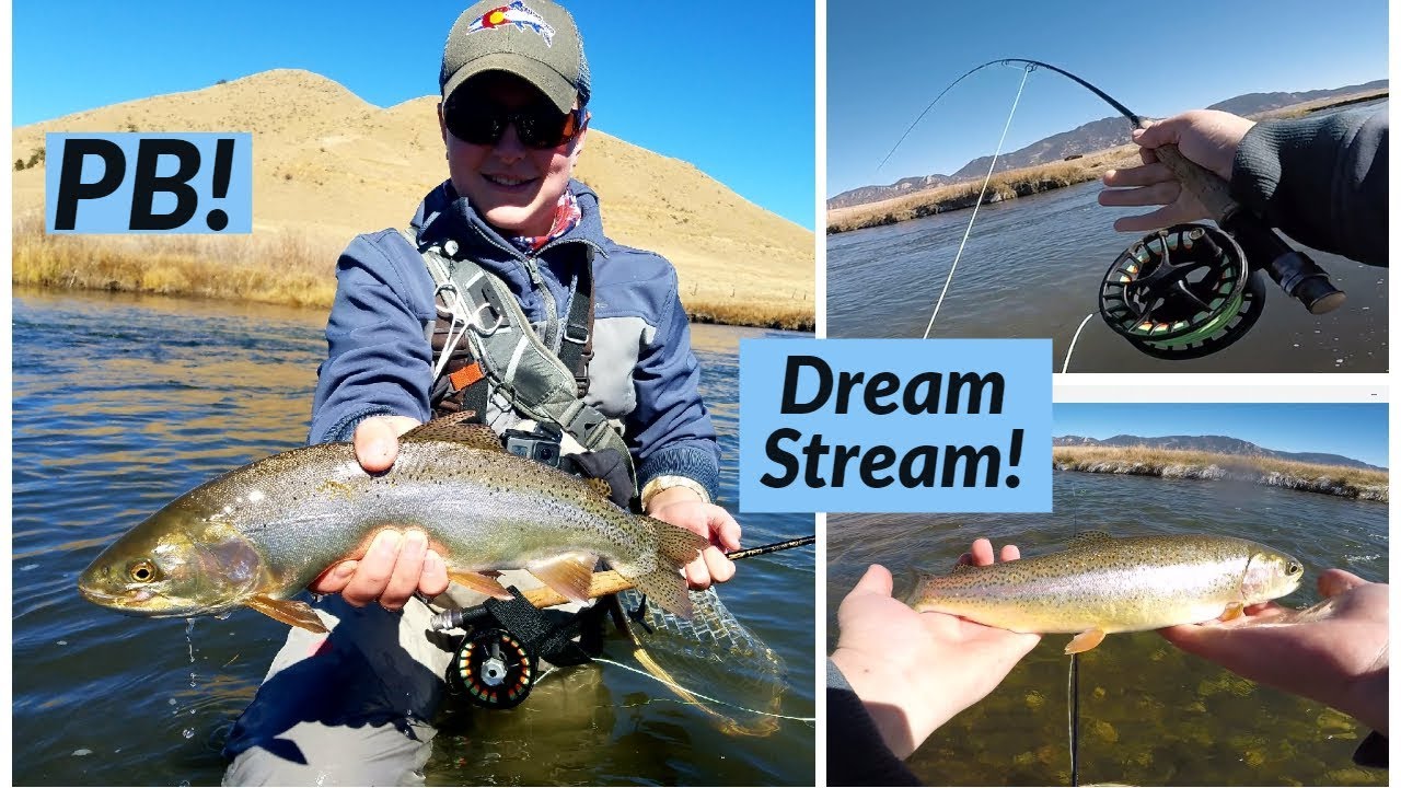 Colorado fly fishing at Dream Stream. (PB Cutbow!) - YouTube