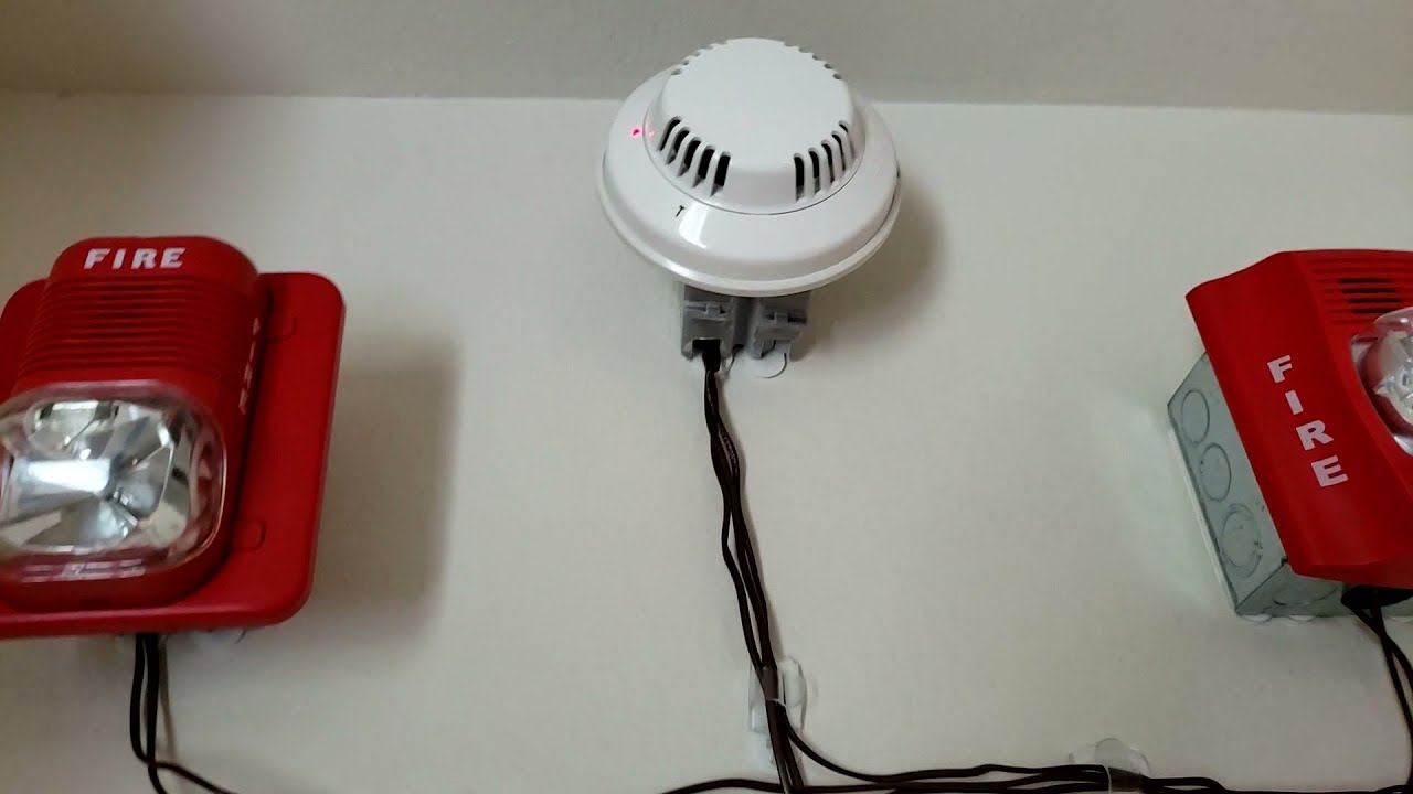 Mini Fire Alarm System Test 3: Supervised zone, and a special guest ...