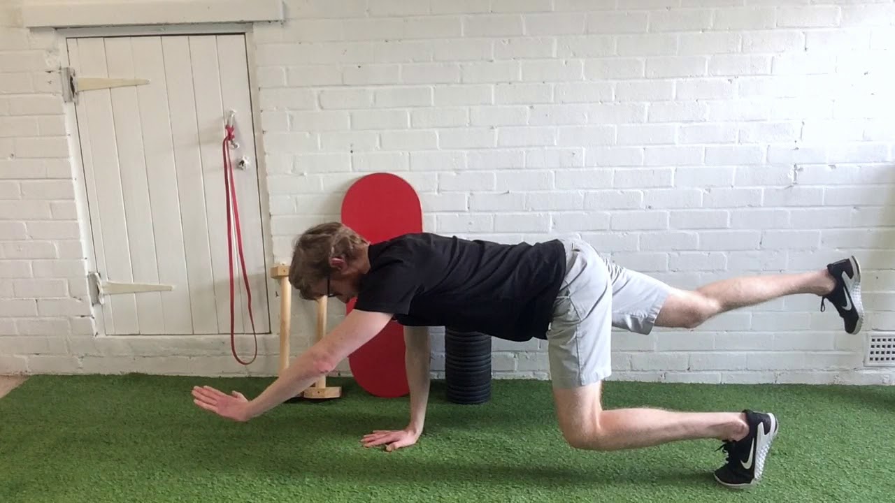 Quadruped Alternating Bird Dog - YouTube