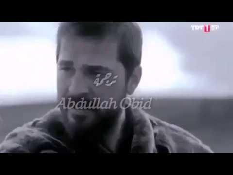 Mustafa Ceceli || gül rengi مترجمة