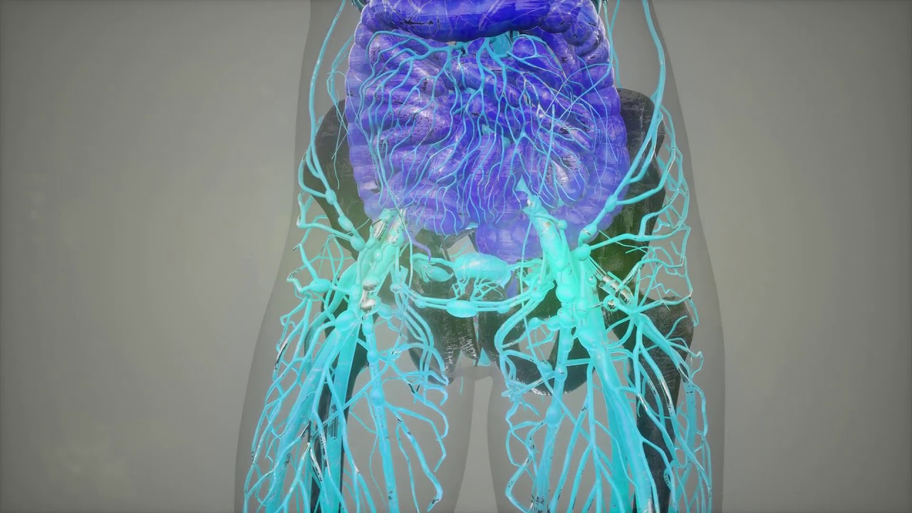 Cuáles son las causas más comunes de flema en los pulmones? - YouTube