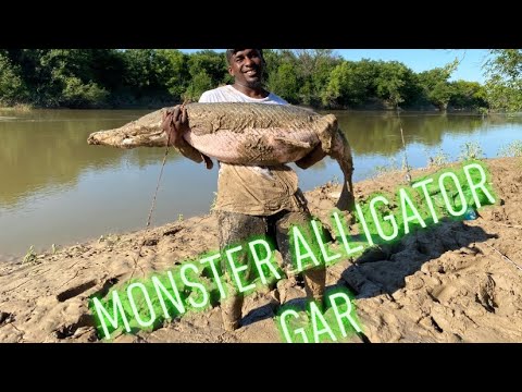 MONSTER Aligator Gar On Garzilla Fishing Gear - YouTube