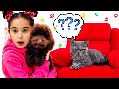 ELİF SİNEM BÜCÜRE KÖTÜ SÜRPRİZ ‼️ KÖPEĞİMİZ KARAMEL GELDİ BÜCÜR SİNİRLENDİ !!