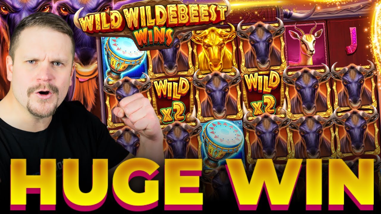OUR RECORD WIN ON WILD WILDEBEEST WINS (INCREDIBLE WIN) 🦓🔥 - YouTube
