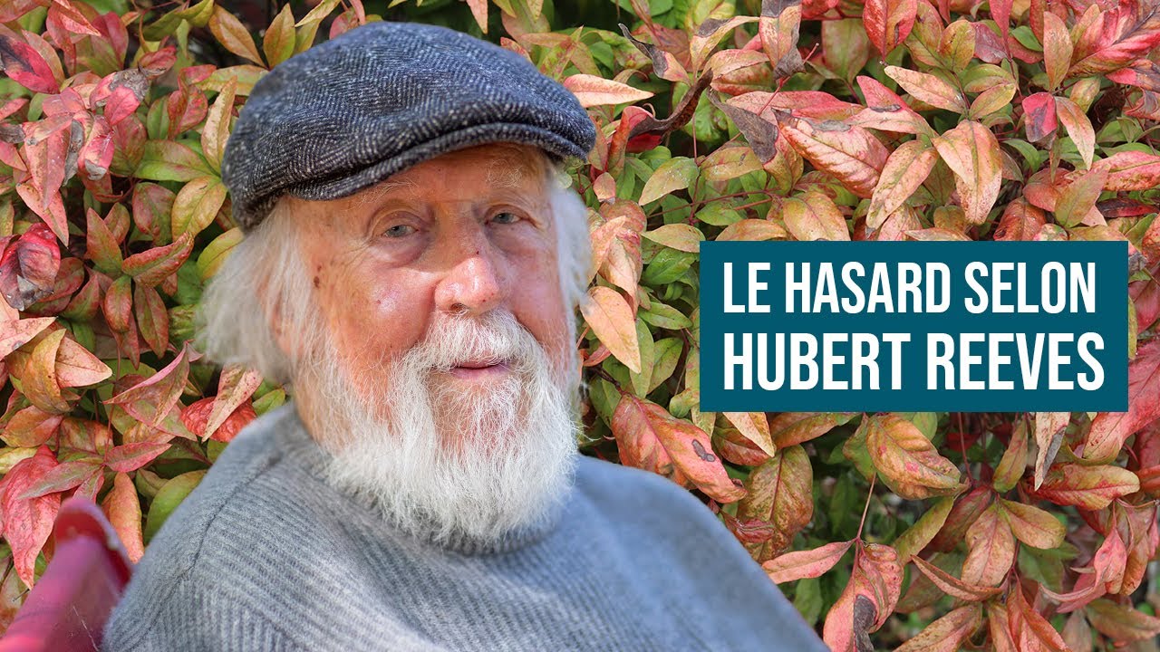 LE HASARD SELON HUBERT REEVES - YouTube