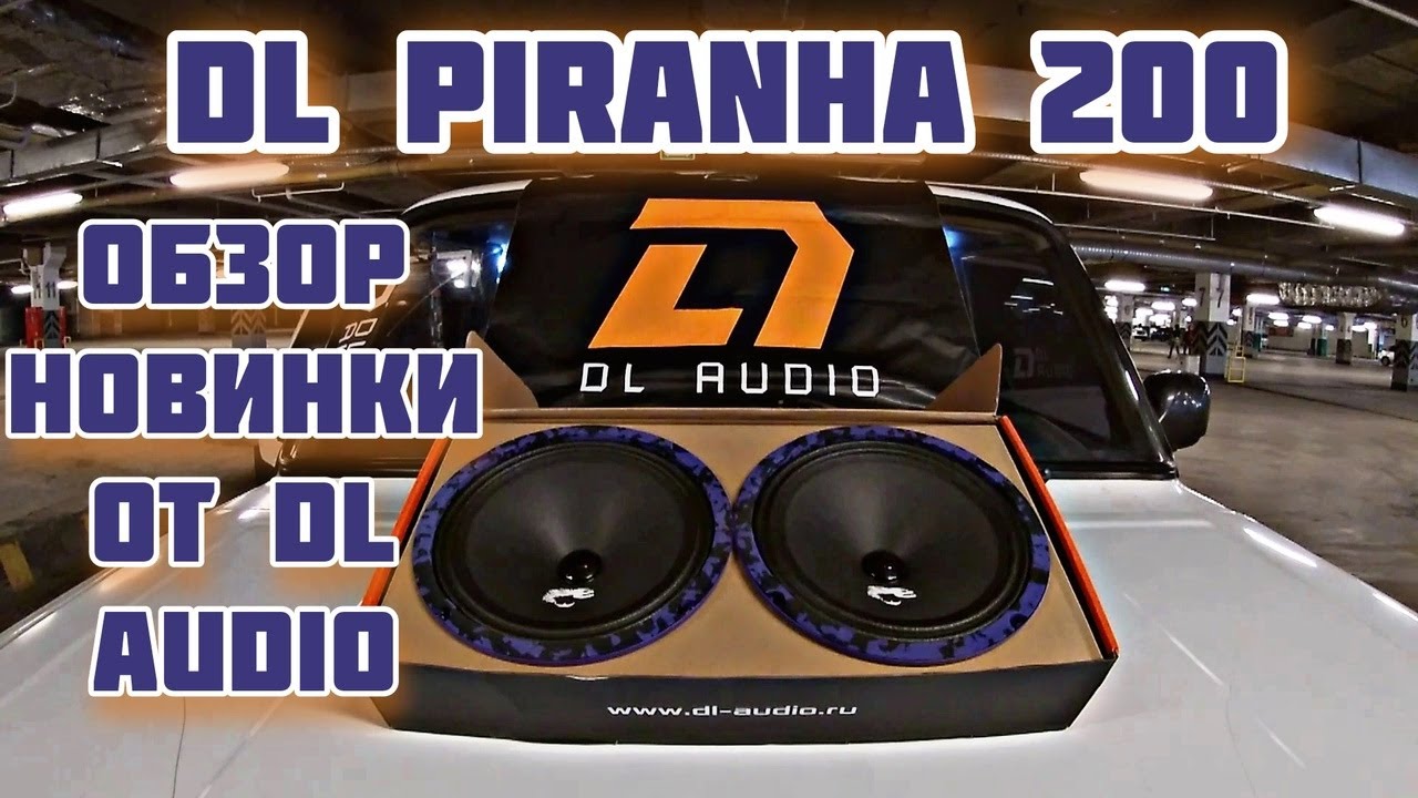 #Обзор новинки от DL Audio! DL Pirаnha 200 - YouTube
