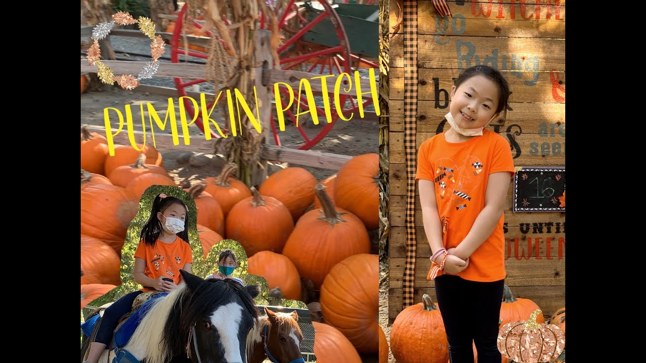 Pumpkin Patch 2021 - Irvine Park Railroad - YouTube