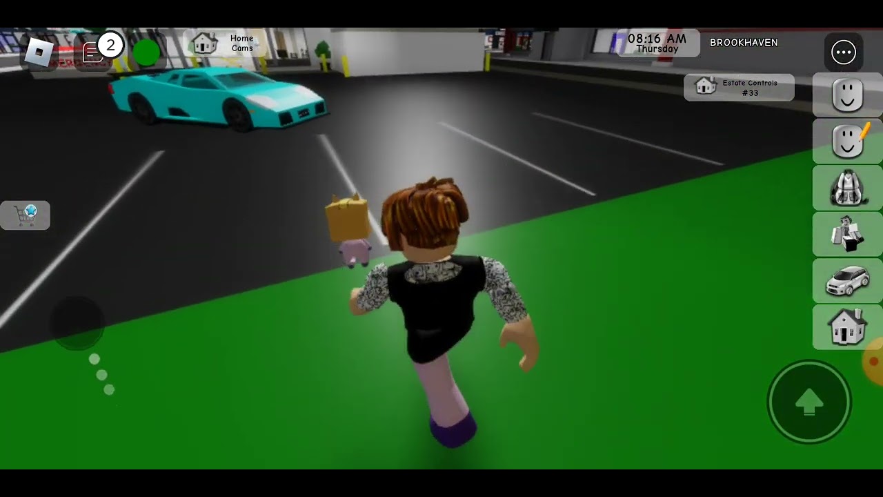 Roblox Brookhaven 🏠 RP gameplay - YouTube