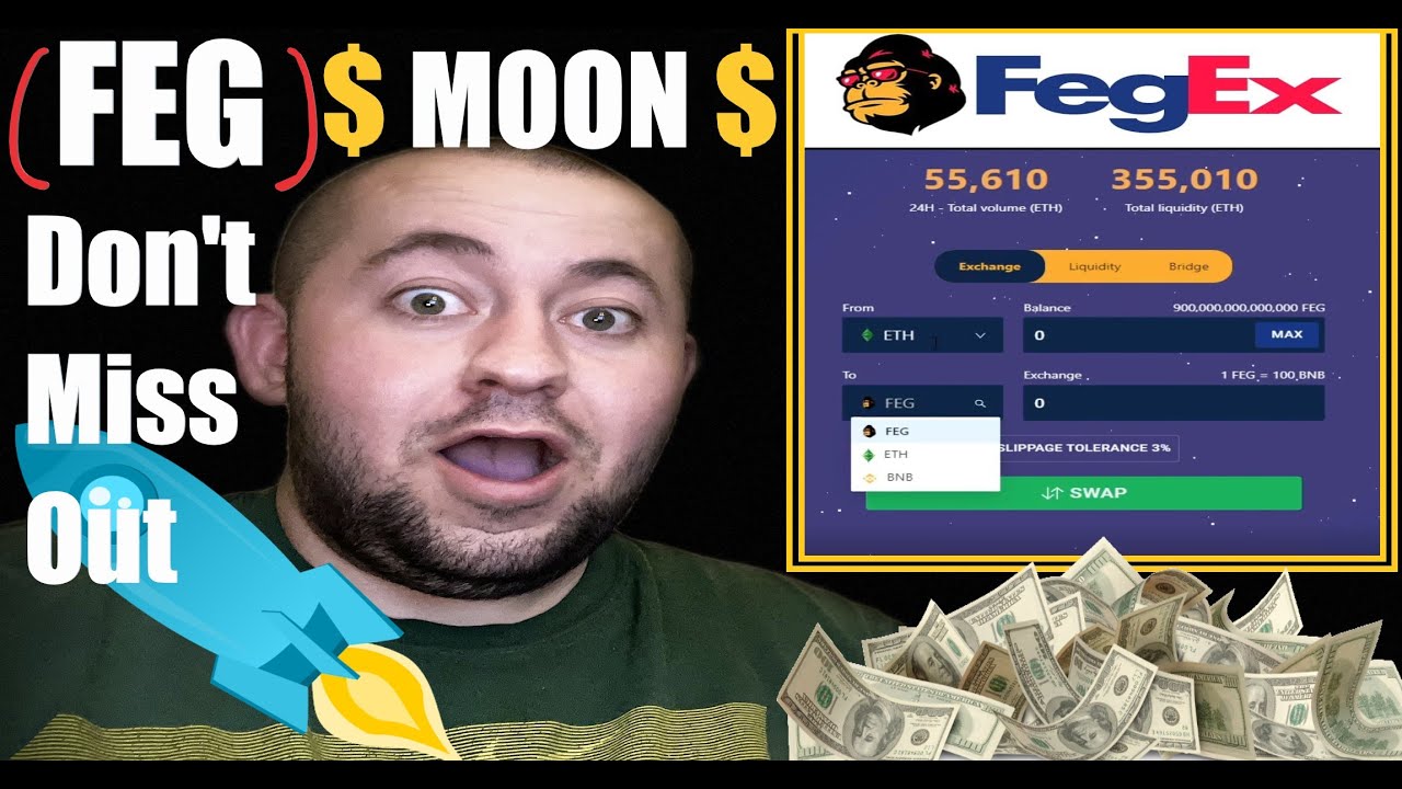 FEG Token Reveals NEW FegEx UI - What Does This Mean For Uniswap ...