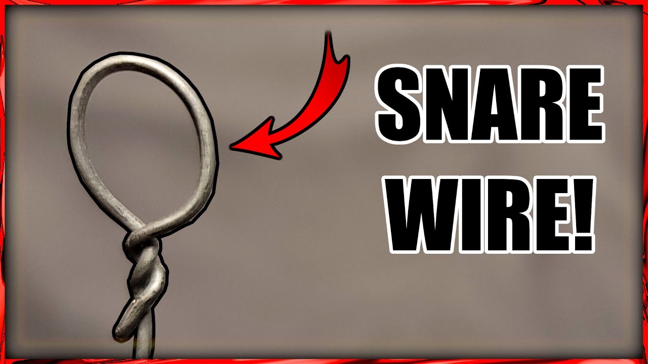 Snare Wire! Survival Trapping and Shelter Building Uses! - YouTube