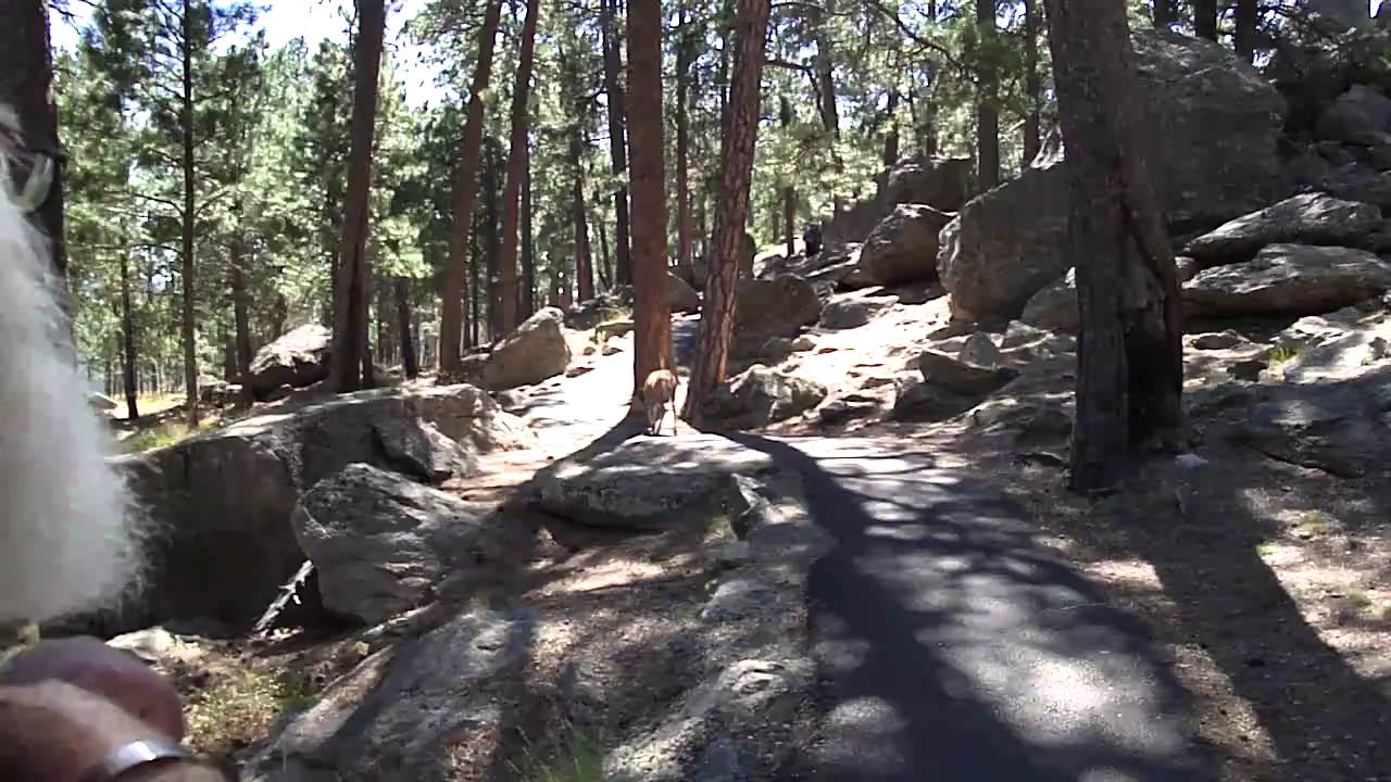 Back of Mt. Rushmore from Harney Peak - YouTube