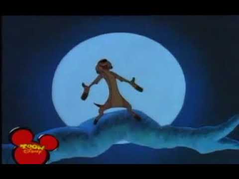 Timon & Pumbaa song - The Lion sleeps tonight 😴🥱 - YouTube