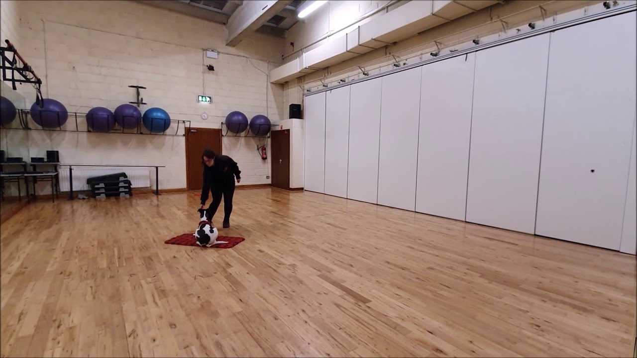 Distance and distraction on the mat - YouTube