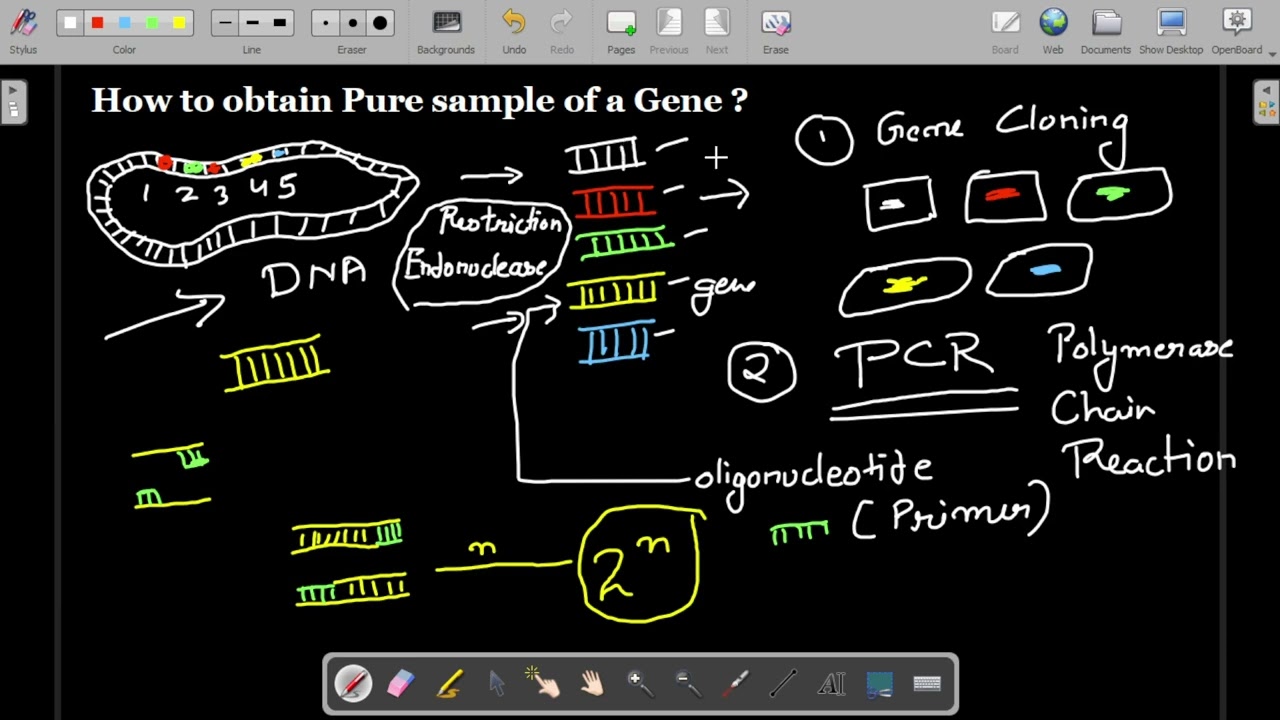 GENE CLONING :- Lecture # 5 - How to obtain pure sample of a gene ...