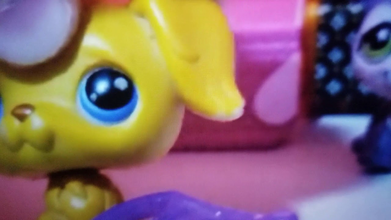 Lps magic life Mash up of 2019 - YouTube