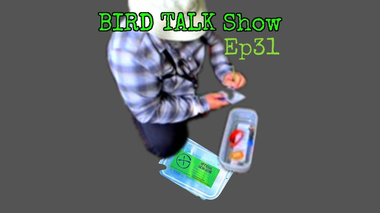 Fun in the Field BIRD TALK Show Ep31 [ Geocaching ] TREASURE HUNT ...