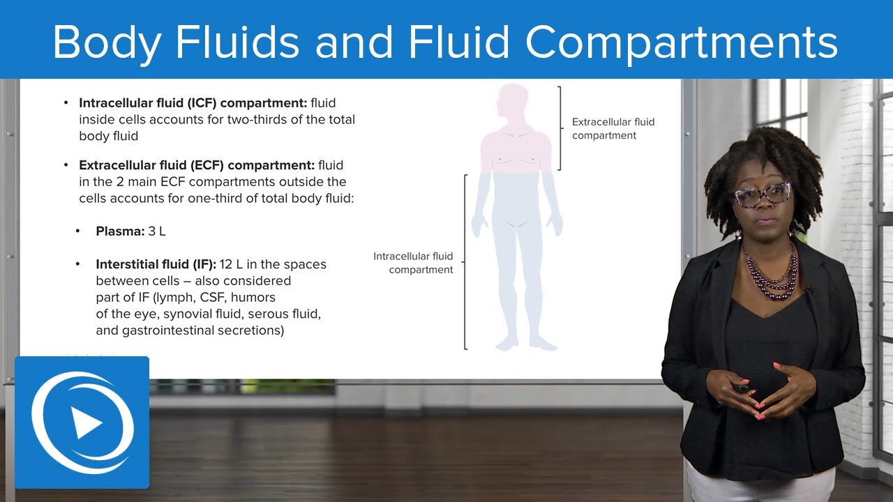 Body Fluids and Fluid Compartments – Physiology | Lecturio Nursing ...