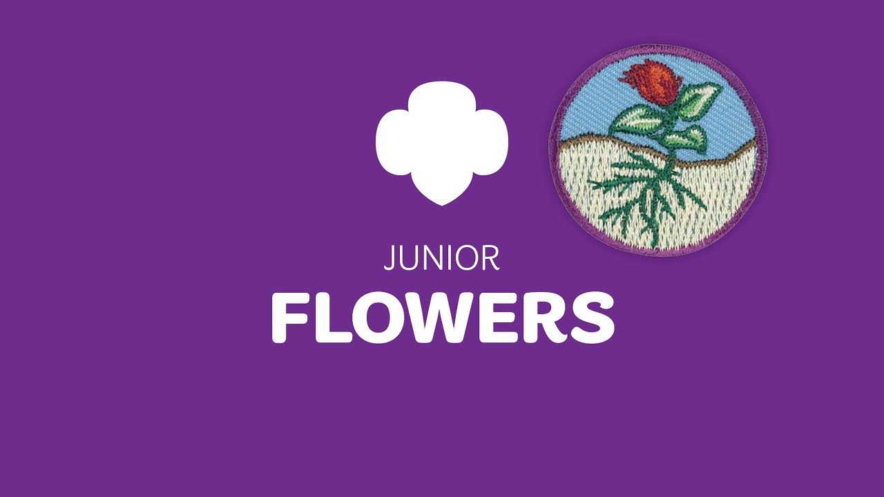 Junior Flowers Badge Workshop YouTube junior-flowers-badge-workshop-youtube