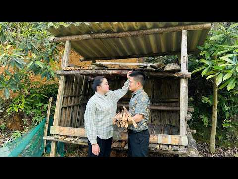 CEO Tung, Tu Anh'ın tavuk kümesini yenilemesine ve geleceğe yönelik planlar yapmasına yardımcıoluyor