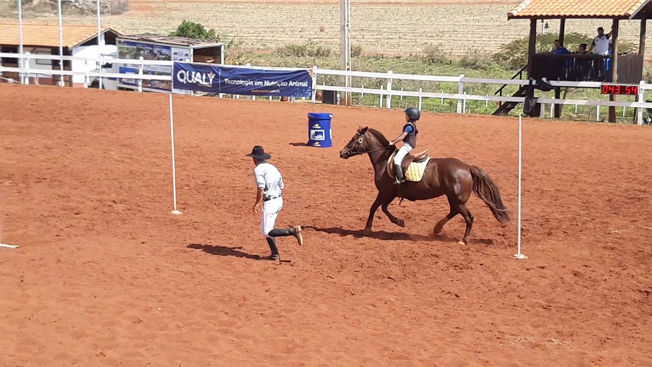 HIPISMO RURAL Prova da ABHIRA Jau.. foi muito bom - YouTube