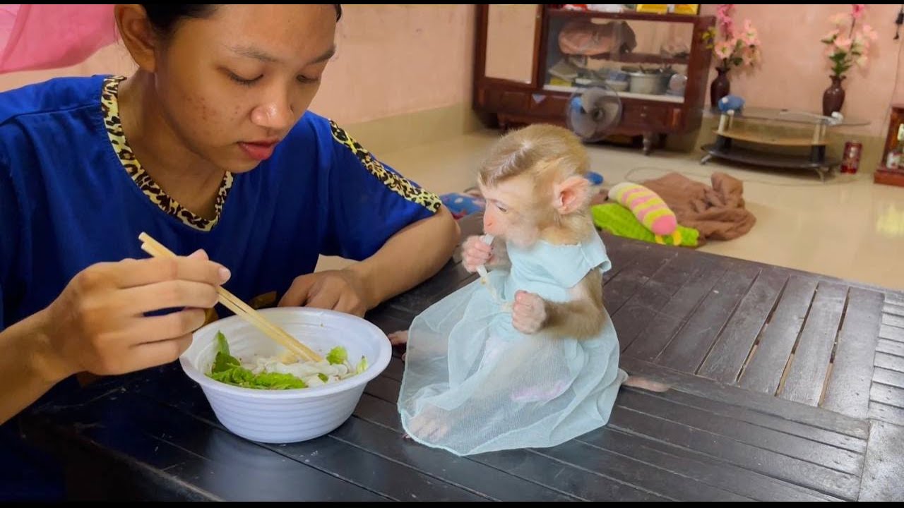 Oh wow..!! Jasmine eat look like a human kid - YouTube