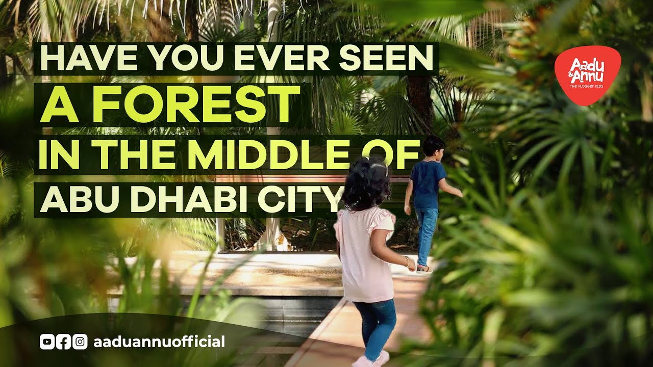 Have You Ever Seen A Forest In The Middle Of Abu Dhabi City? | Vlog #22 ...