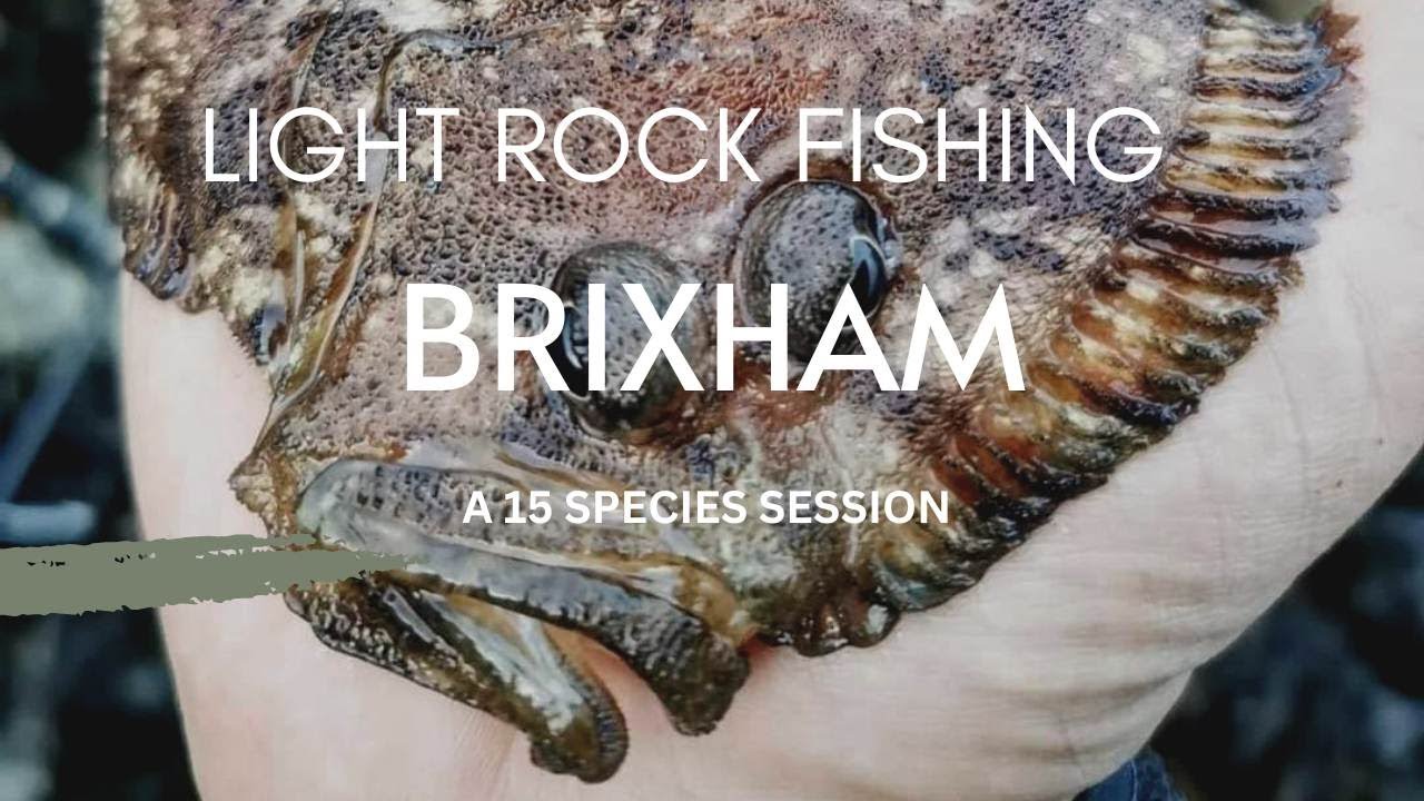 Light Rock Fishing - Brixham - A 15 Species Session - YouTube